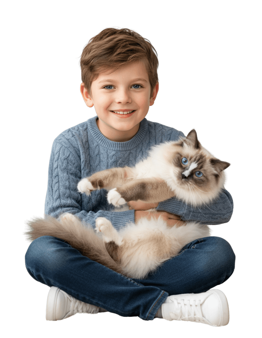 Shop At The Best Cat Shop Online – Catshoponline