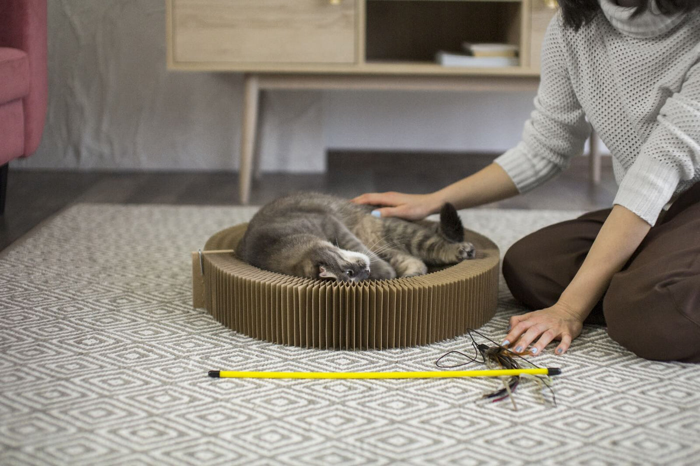 Get Premium Cat Supplies at Cat Shop Online – Catshoponline